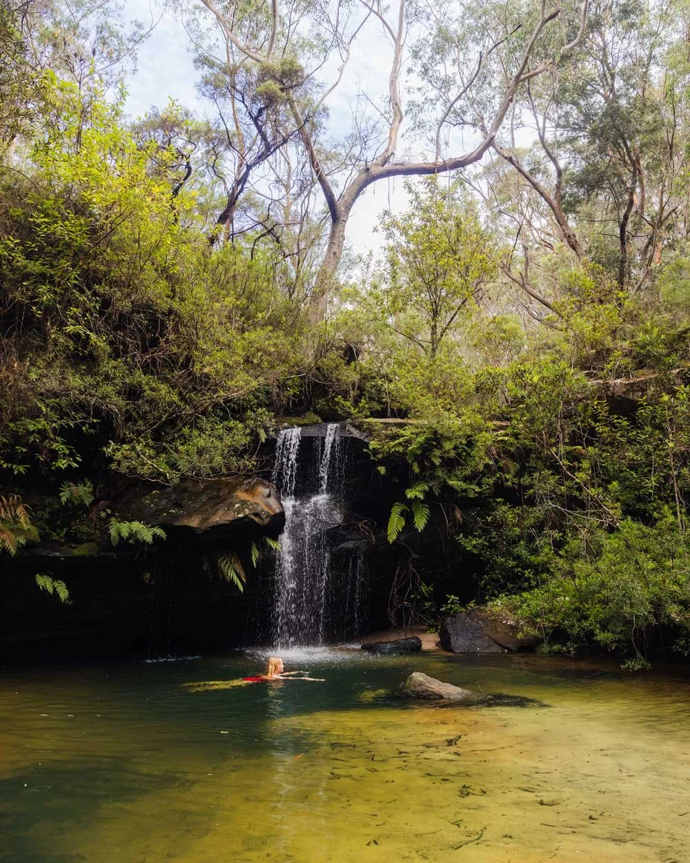Turtle Falls: a hidden waterfall pool in the Blue Mountains — Walk My World