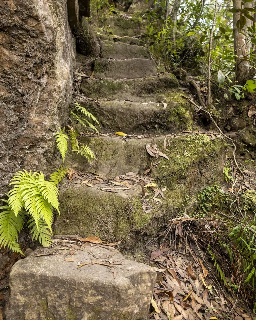 Bundanoon Creek: how to find the secret Fairy Canyon Falls — Walk My World