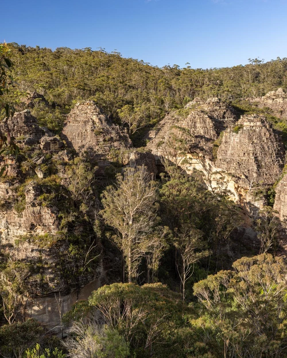Pool of Diana: wild swimming in the Blue Mountains' hidden paradise ...