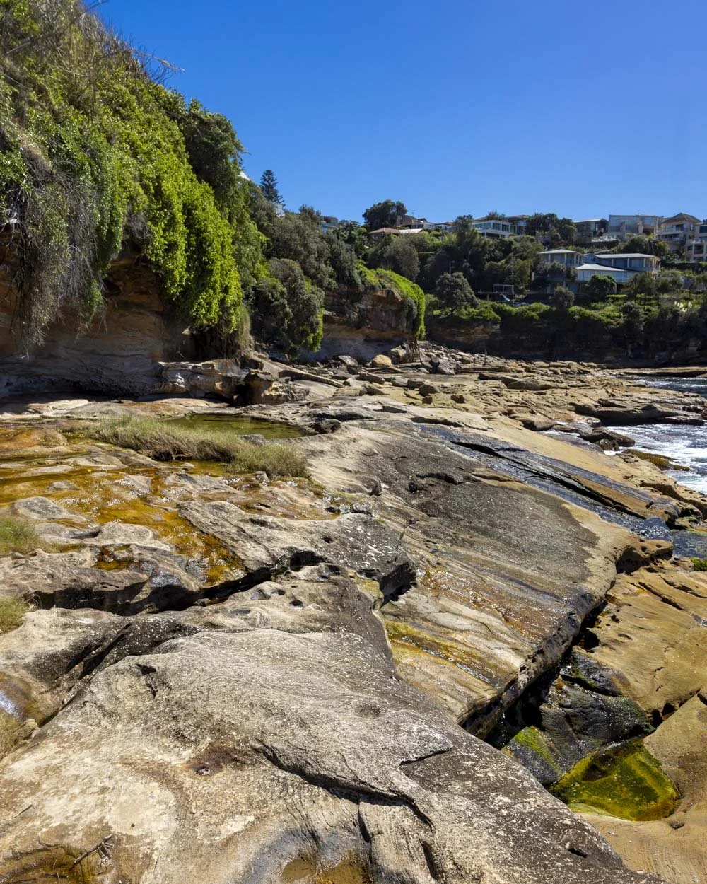 Rob Walker Rockpool: a gorgeous natural rockpool in Maroubra — Walk My ...