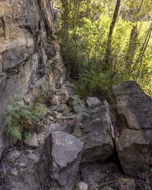 Pool of Diana: wild swimming in the Blue Mountains' hidden paradise ...