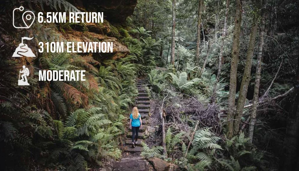 The 22 Best Blue Mountains Walks (easy - hard, by area) — Walk My World