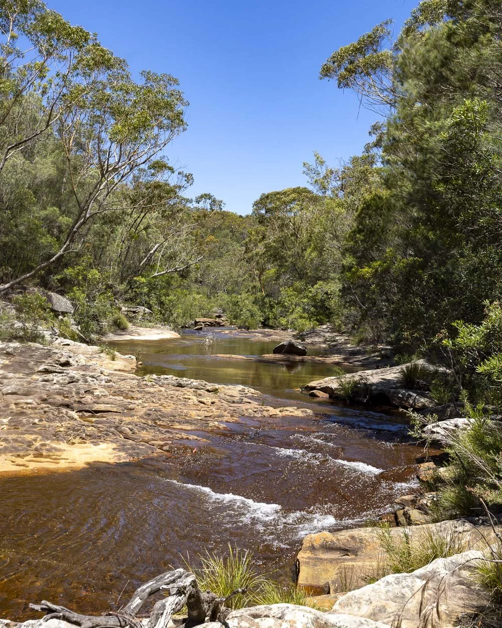 Southwest Arm Pool: Royal National Park's magical emerald lagoon — Walk ...
