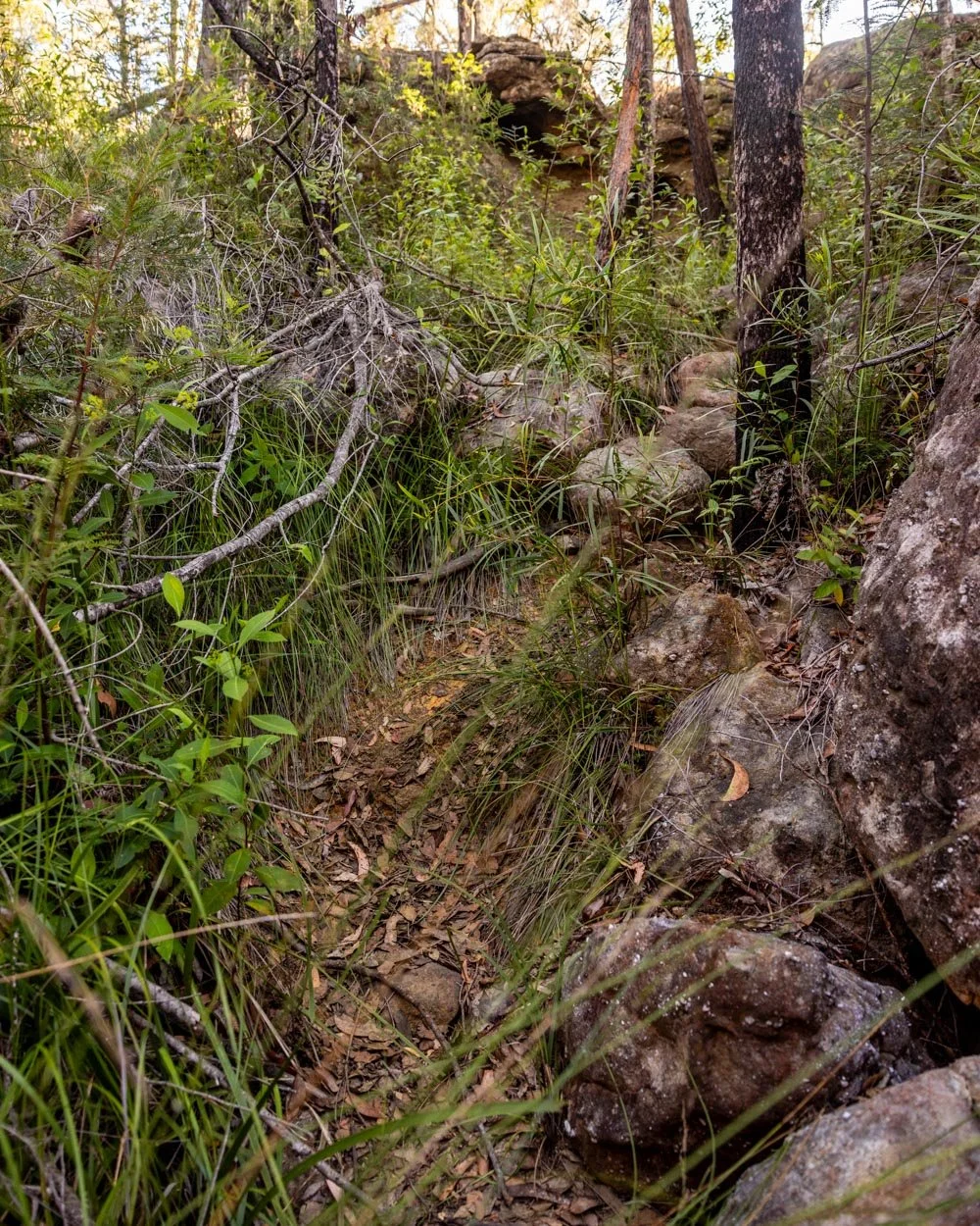 Hell Hole Falls: a spectacular waterfall swimming hole near Jervis Bay ...