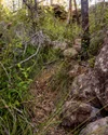 Hell Hole Falls: a spectacular waterfall swimming hole near Jervis Bay ...