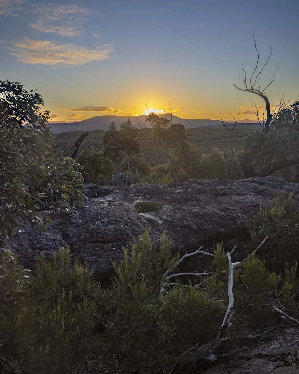 Florence Head: one of the best sunset spots on the South Coast — Walk ...