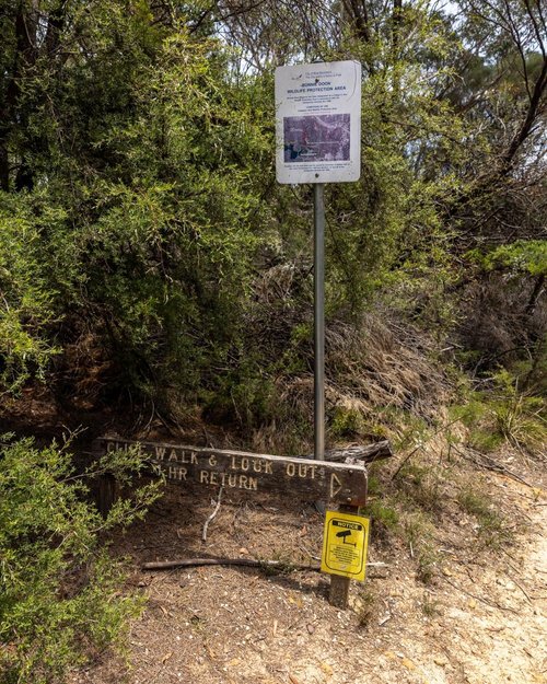 The Devils Hole: Katoomba's Lost World — Walk My World