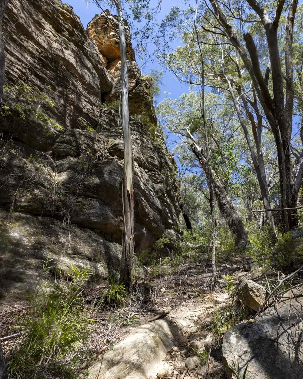Pool of Diana: wild swimming in the Blue Mountains' hidden paradise ...