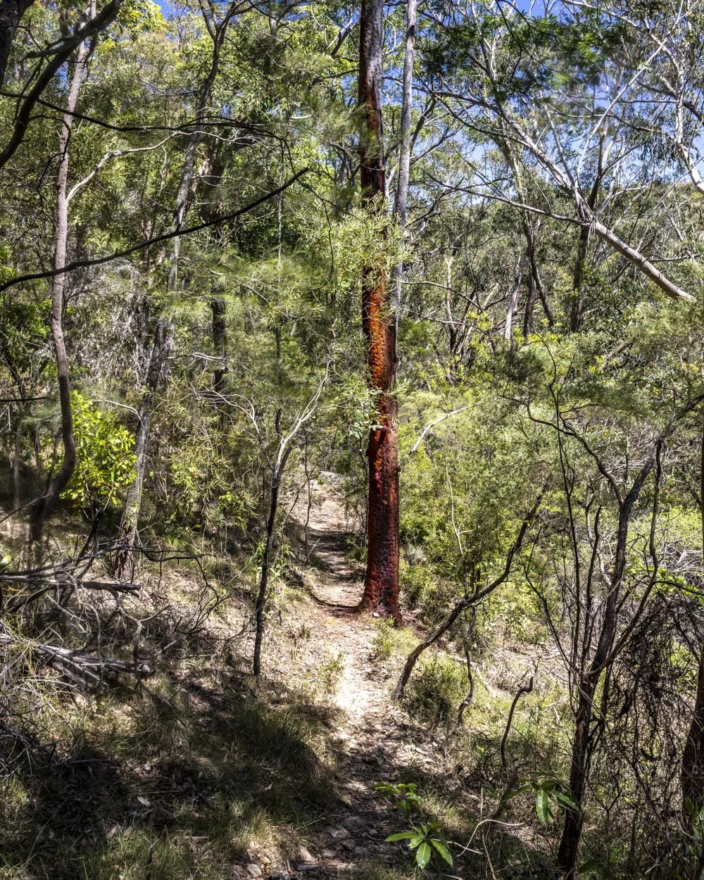Sharks Head Cave Circuit: epic swimming holes and a hidden cave — Walk ...