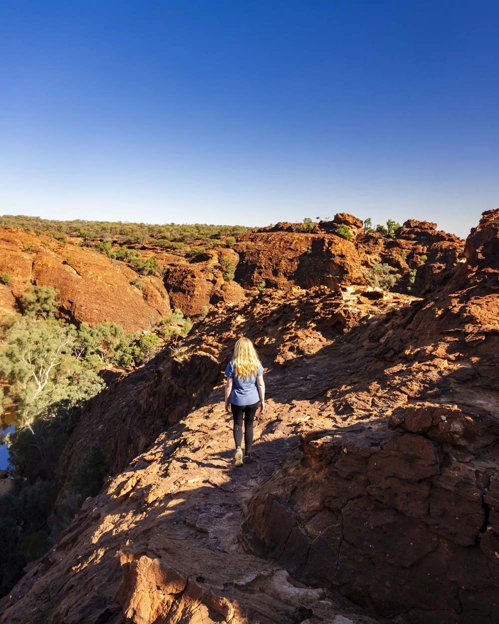 Mutawintji Loop Track: the best walk in NSW nobody talks about — Walk ...