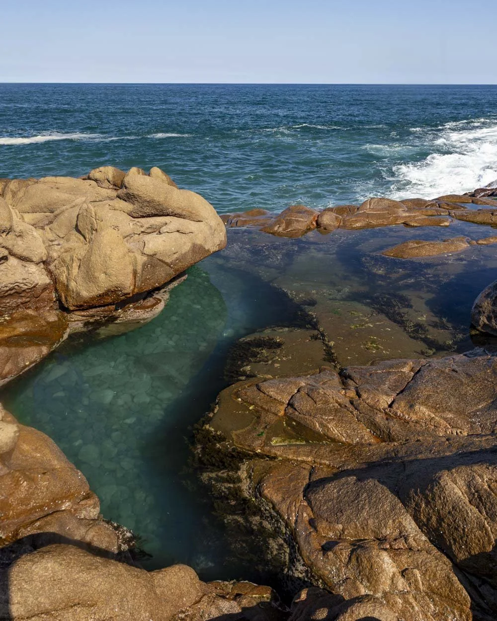 Boat Harbour Rockpool: a stunning blue rockpool in the heart of Port ...