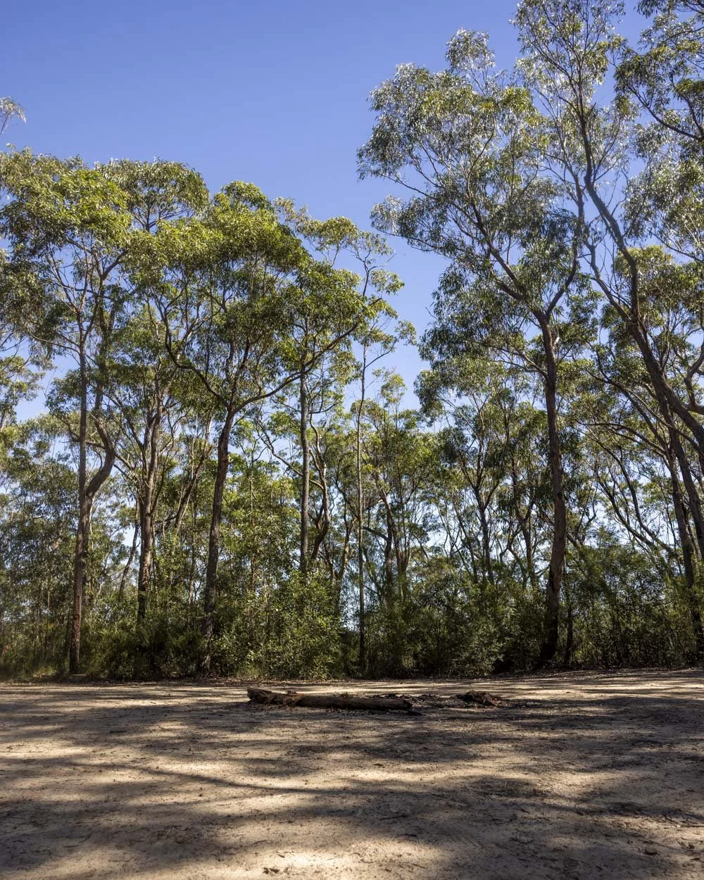 Taking the T3 Track to one of the most majestic campsites on the Colo ...