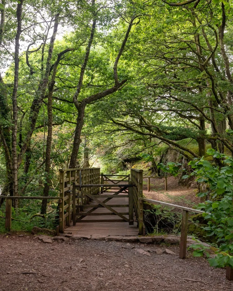 Gill Force: a secluded wild swimming spot in Eskdale — Walk My World