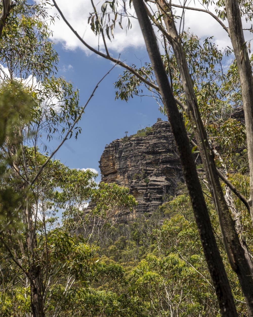 The magical swimming holes of Pierces Pass — Walk My World
