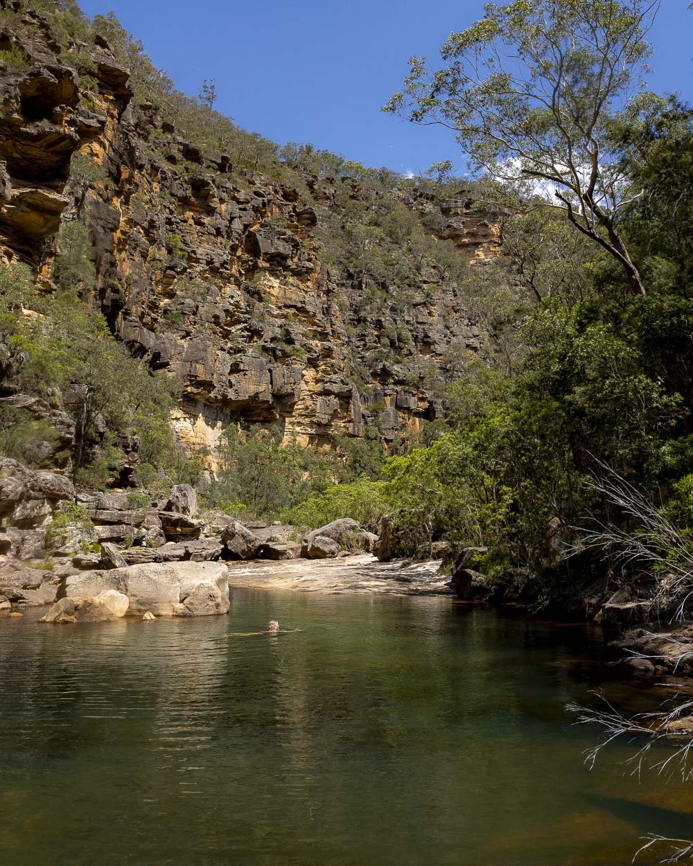 Glenbrook Gorge - a stunning secluded swimming spot in the Blue ...