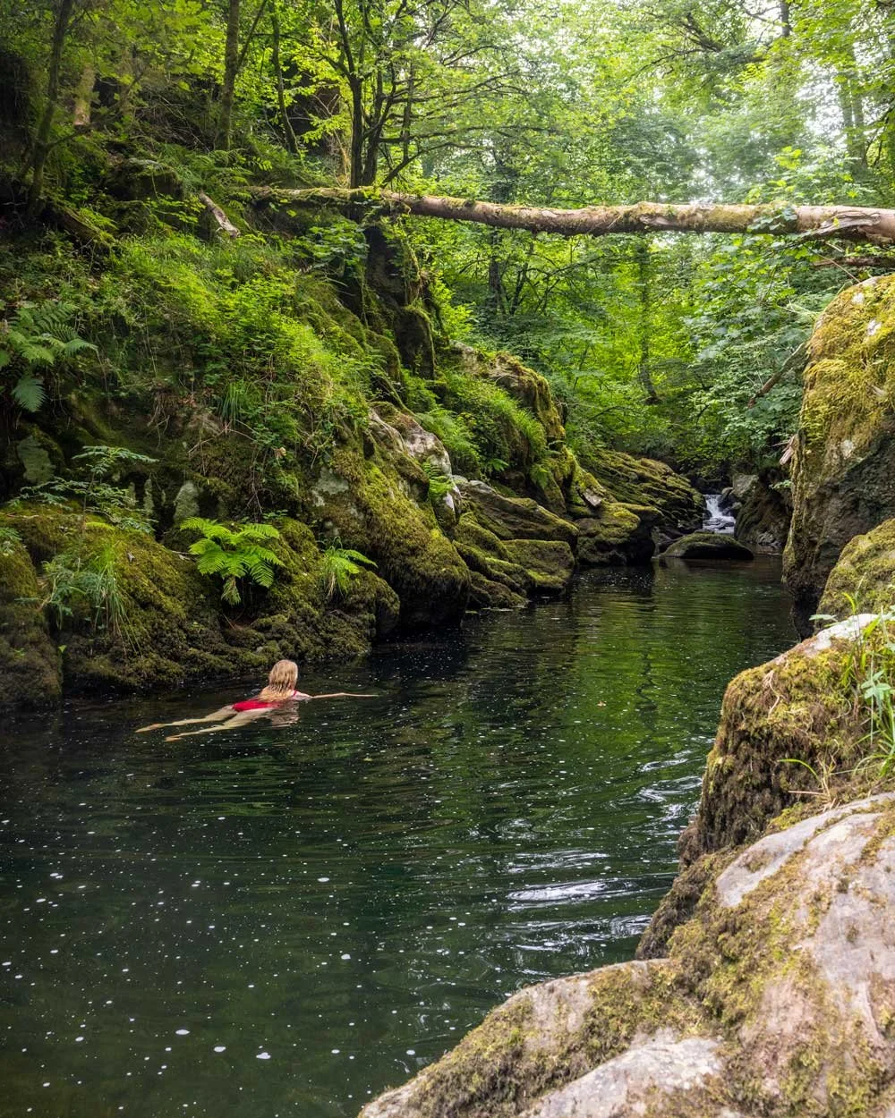 Long Pool: Exmoor's stunning emerald gorge pool — Walk My World