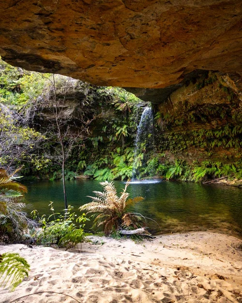 Pool of Diana: wild swimming in the Blue Mountains' hidden paradise ...