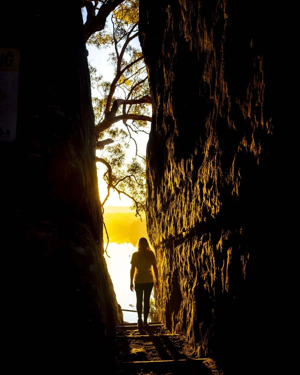 Bens Walk Nowra: caves, a suspension bridge and a hidden Aboriginal art ...