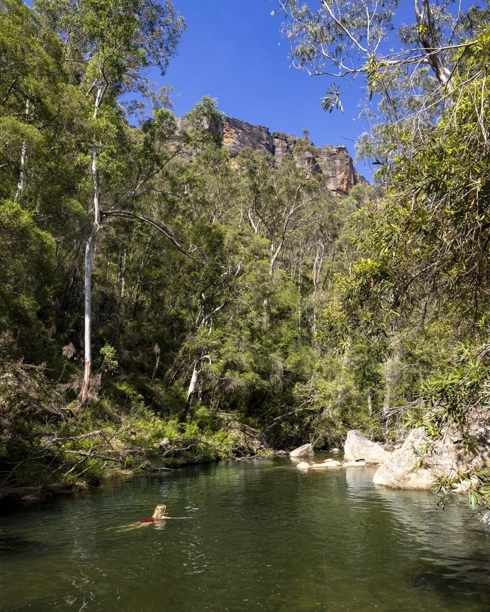 15 Truly Incredible Blue Mountains Wild Swimming Holes — Walk My World