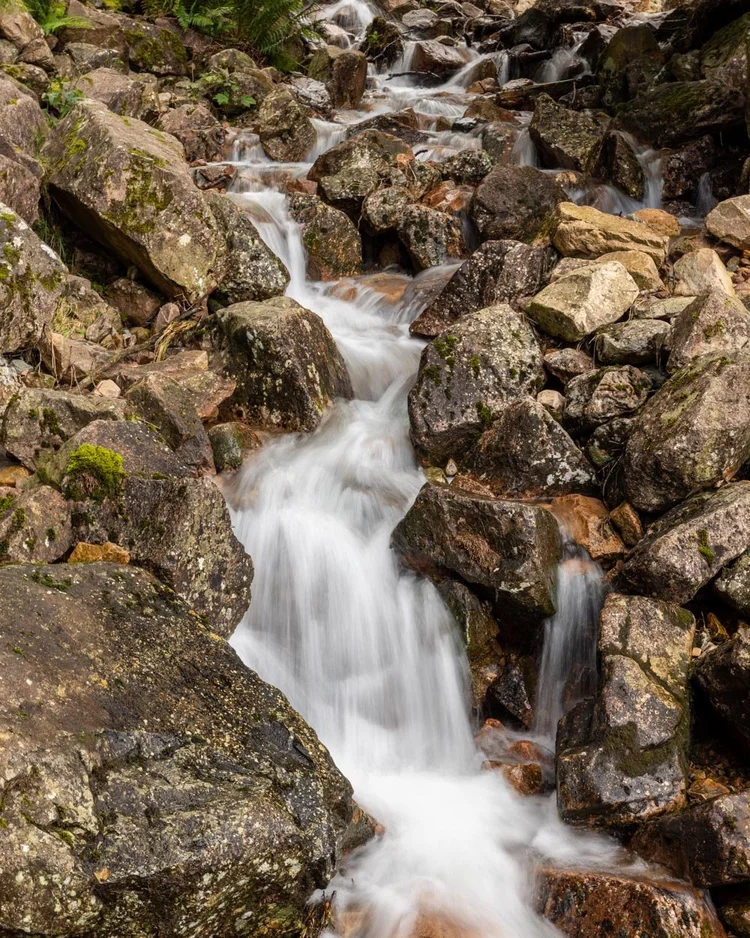 The Buttermere Lake Walk: spectacular views and secret swimming holes ...