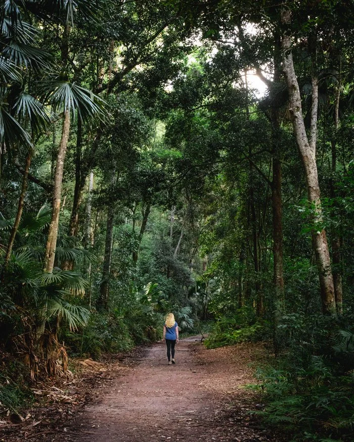 Palona Cave Walk - a trail of hidden gems — Walk My World