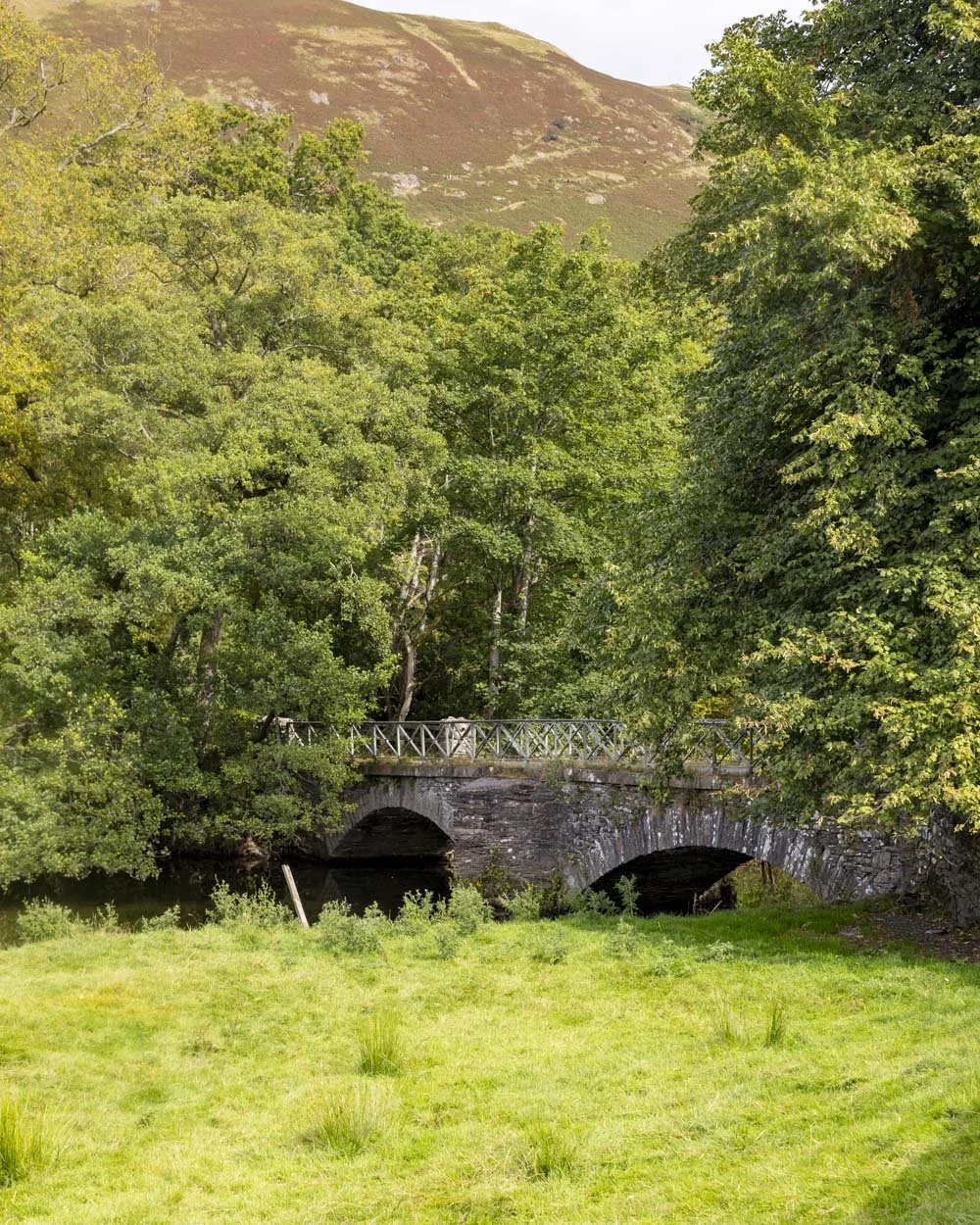 Angle Tarn Circular: the best walk in the Lake District you've never ...