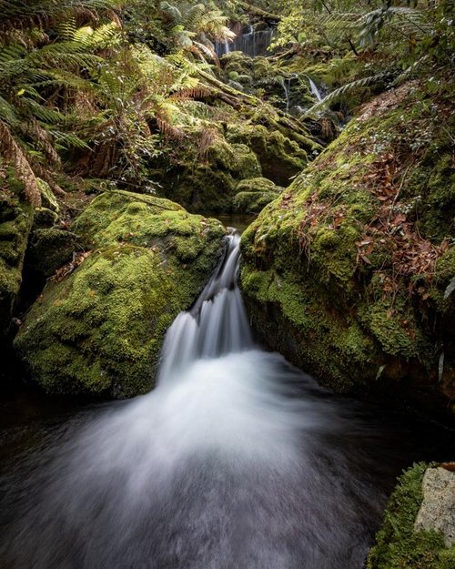 Gloucester Tops Circuit - one of the most magnificent walks in NSW ...