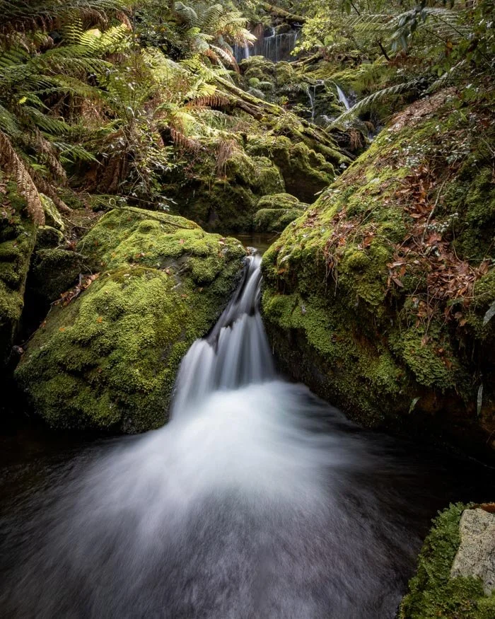 Gloucester Tops Circuit - one of the most magnificent walks in NSW ...