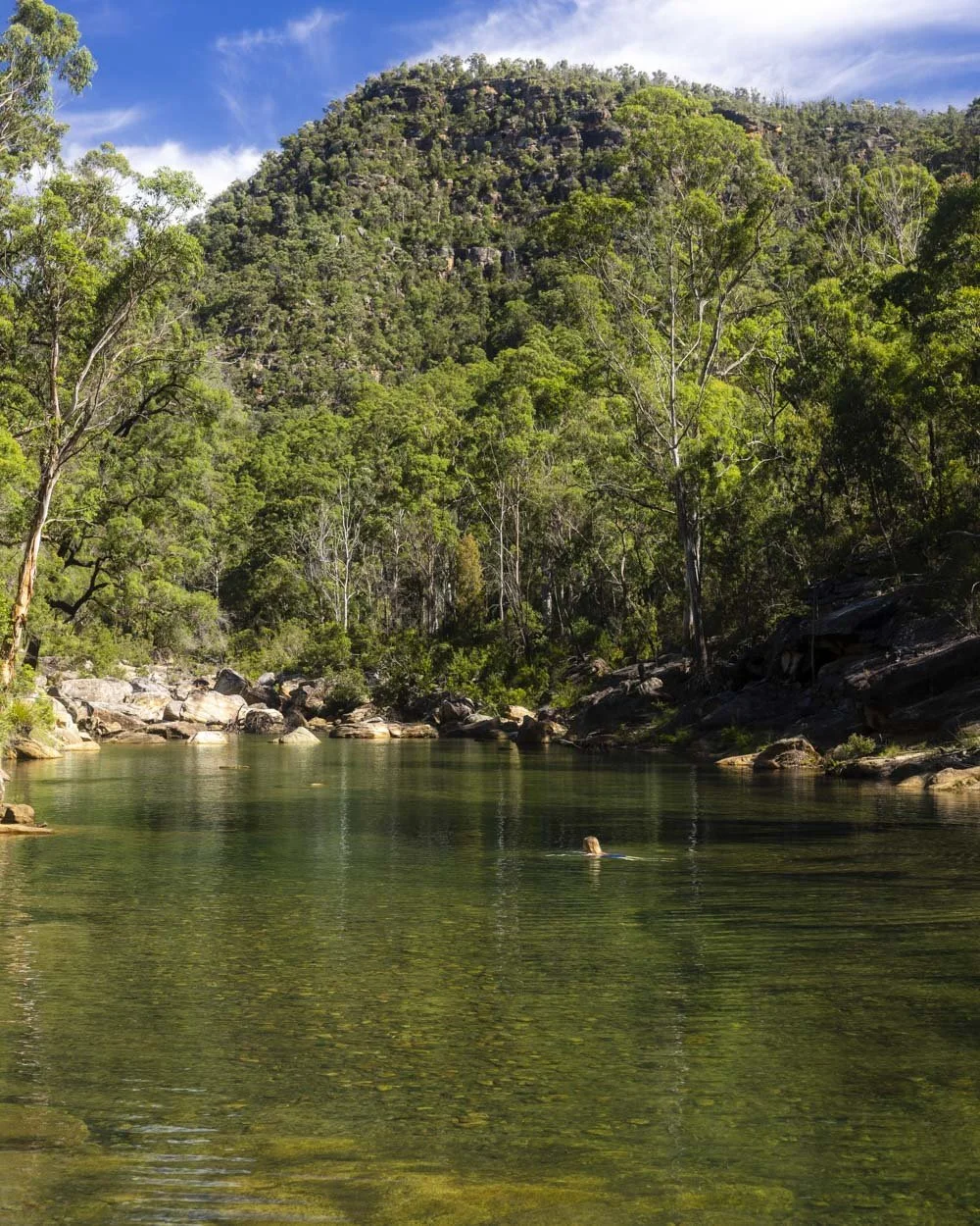 Couridjah Corridor Track: blue gums and wild swimming in the Southern ...