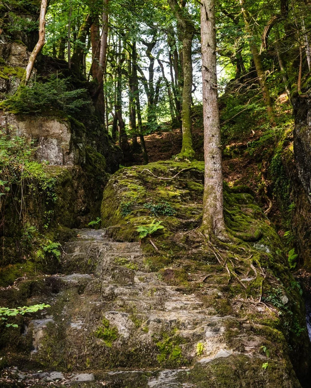 Ffynone Waterfall: wild swimming in Pembrokeshire's hidden fairy grotto ...