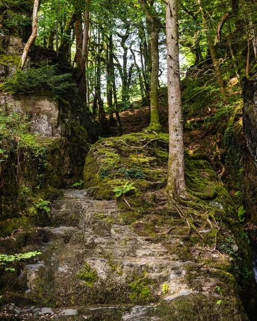 Ffynone Waterfall: wild swimming in Pembrokeshire's hidden fairy grotto ...