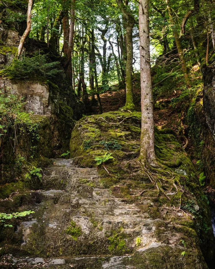 Ffynone Waterfall: wild swimming in Pembrokeshire's hidden fairy grotto ...