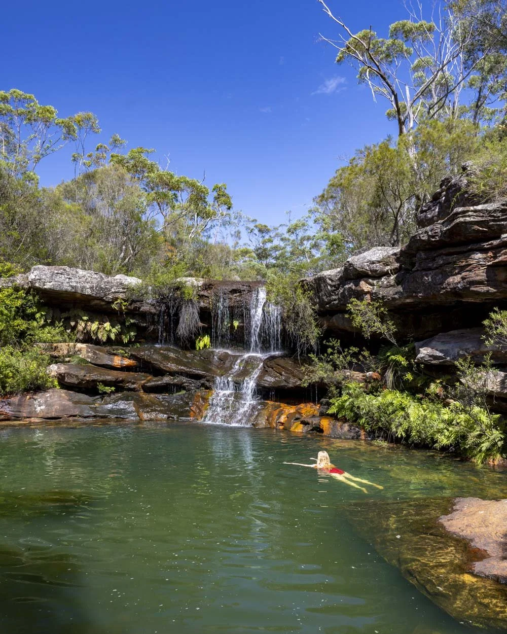Kangaroo Pool: is this the most beautiful swimming spot in Royal ...
