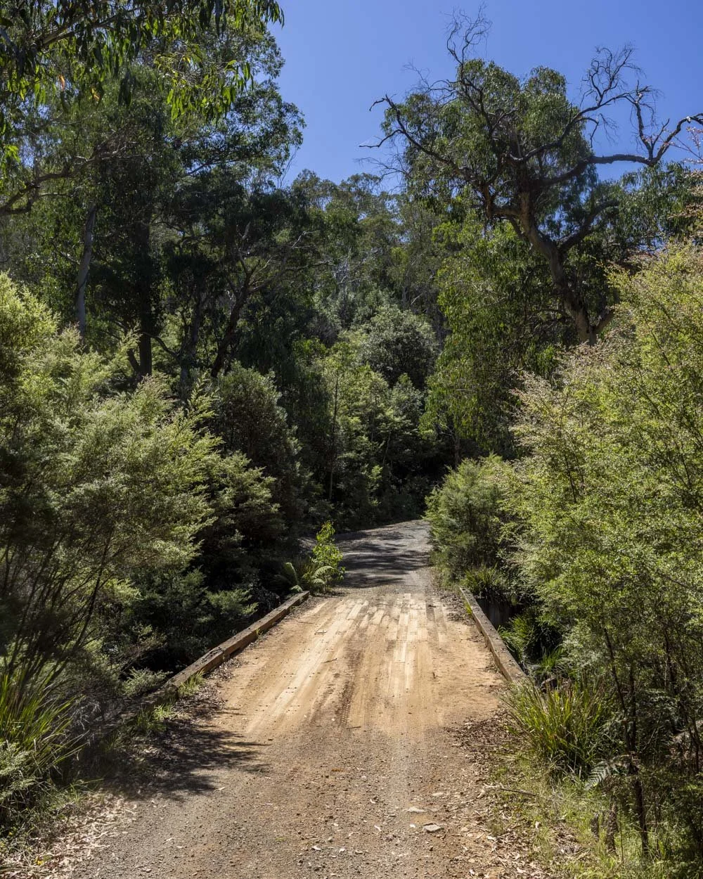 Little Manning Falls: a rarely visited waterfall swimming hole in ...