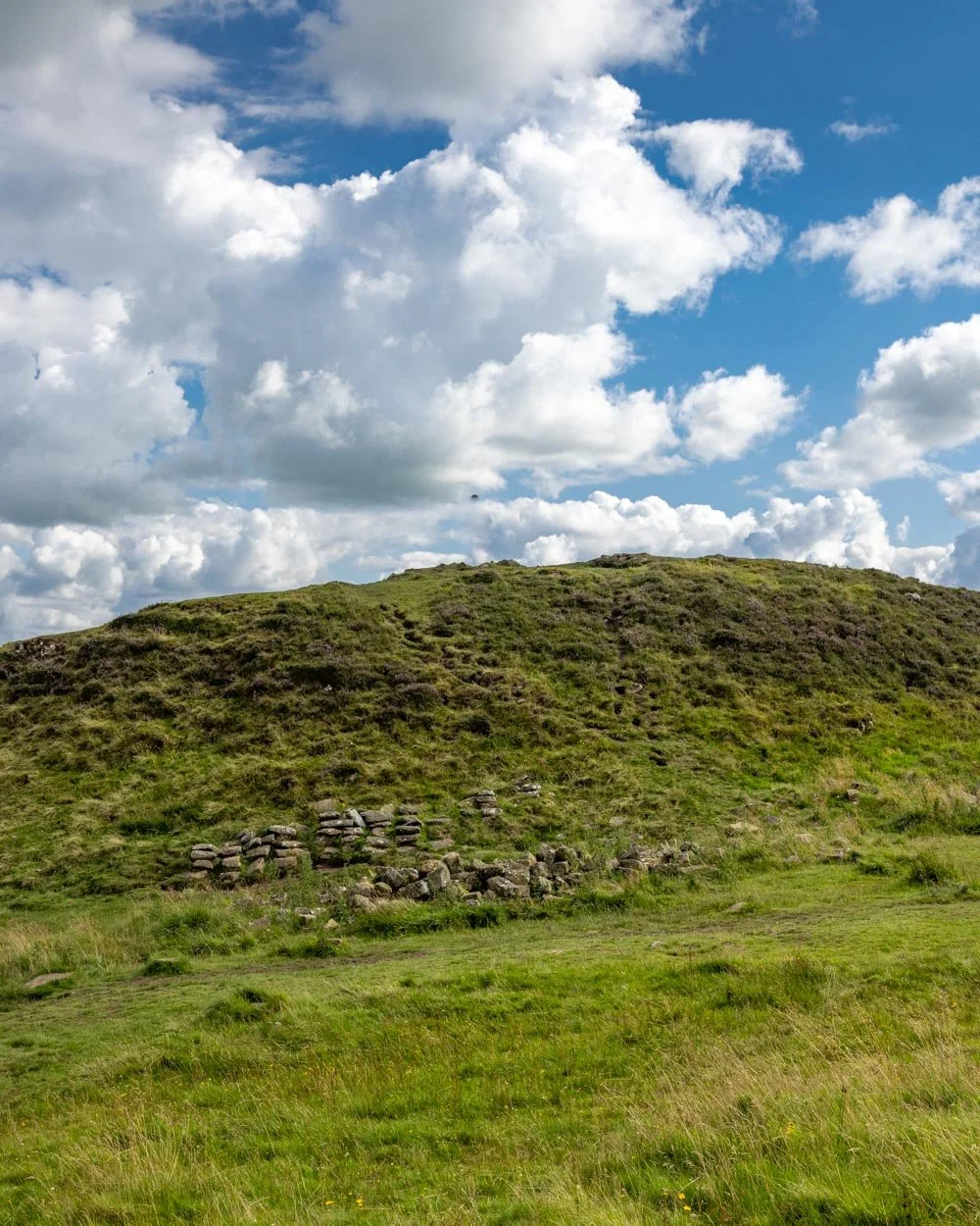 Sycamore Gap: Things to know before visiting & the shortest walk to get ...
