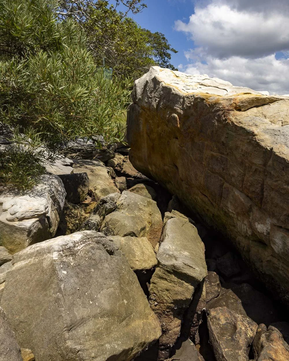 Store Beach: how to reach the most beautiful beach in Manly without a ...