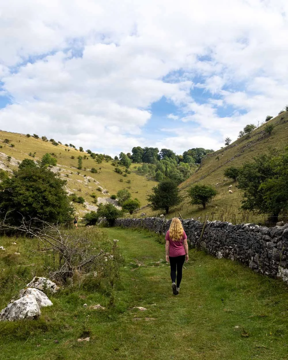 A beautiful walk through the limestone gorges of Wolfscote Dale and ...