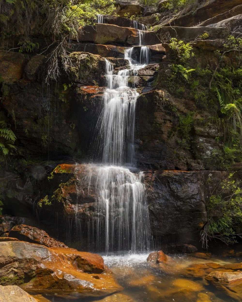 15 Truly Incredible Blue Mountains Wild Swimming Holes — Walk My World
