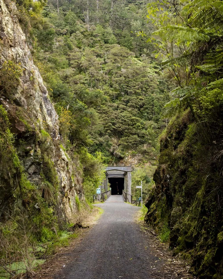 Karangahake Gorge Historic Walkway: the best bits and what to skip ...