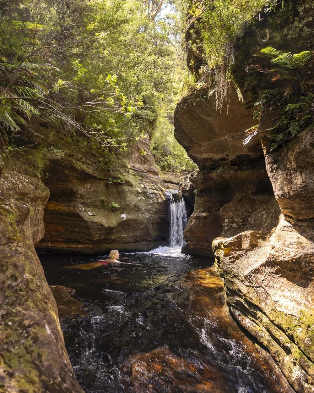These are the 16 Best Walks in Sydney, trust us! — Walk My World