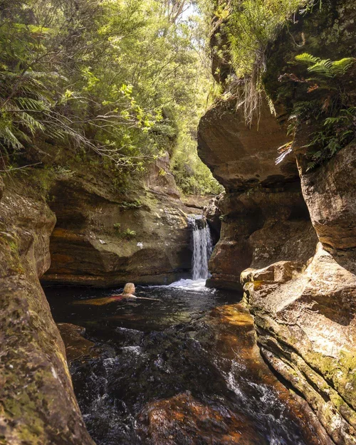 These are the 16 Best Walks in Sydney, trust us! — Walk My World