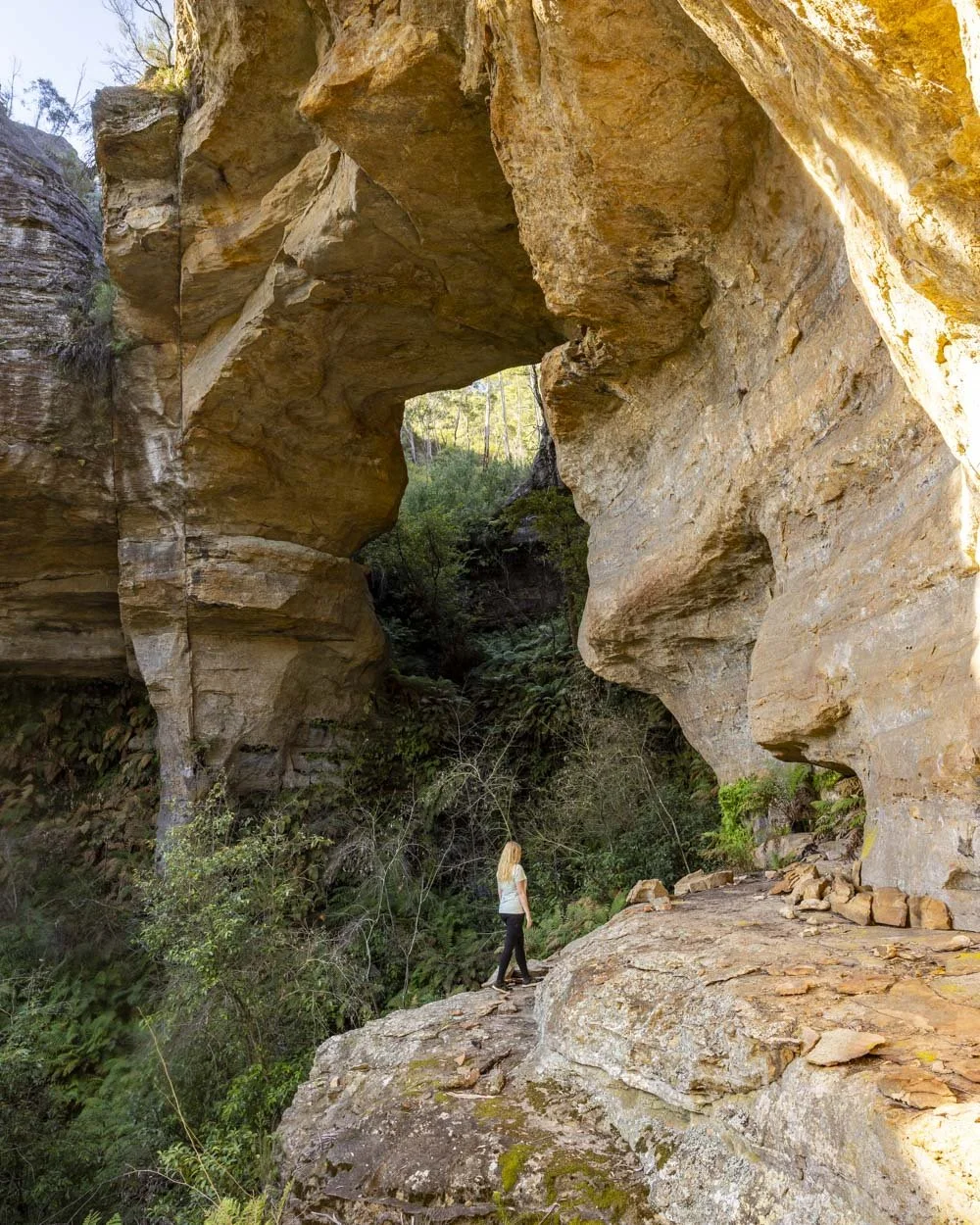 Howling Arch: a spectacular hidden rock arch in the heart of Newnes ...