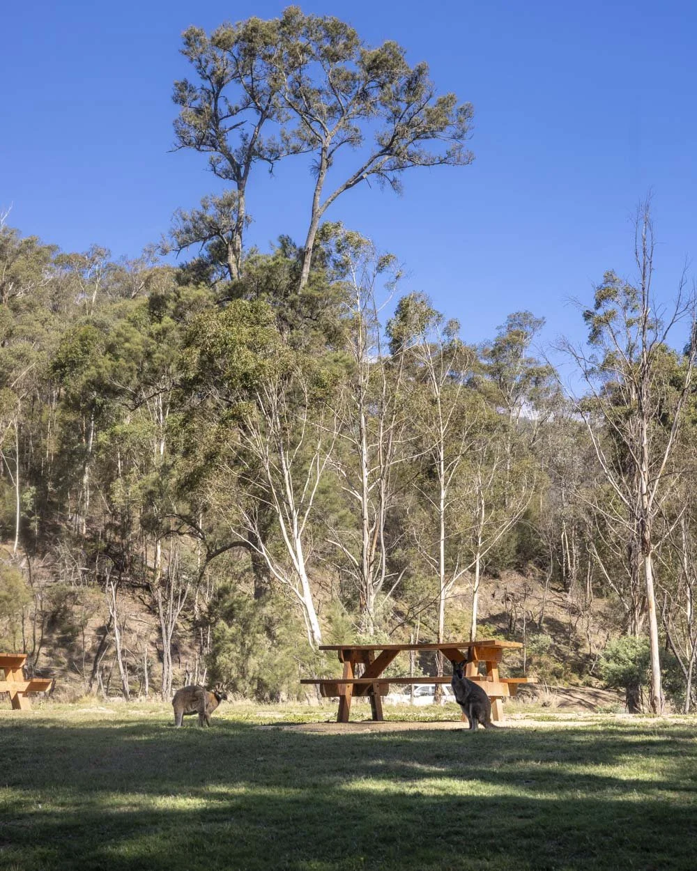 28 things to do in Canberra that are anything but boring — Walk My World