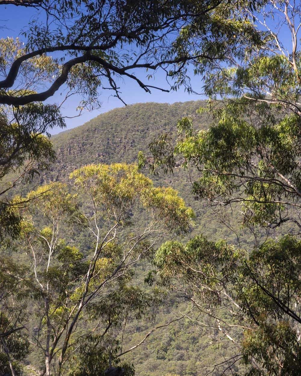 Faulconbridge Point: secluded wild swimming & epic sunset spot in the ...
