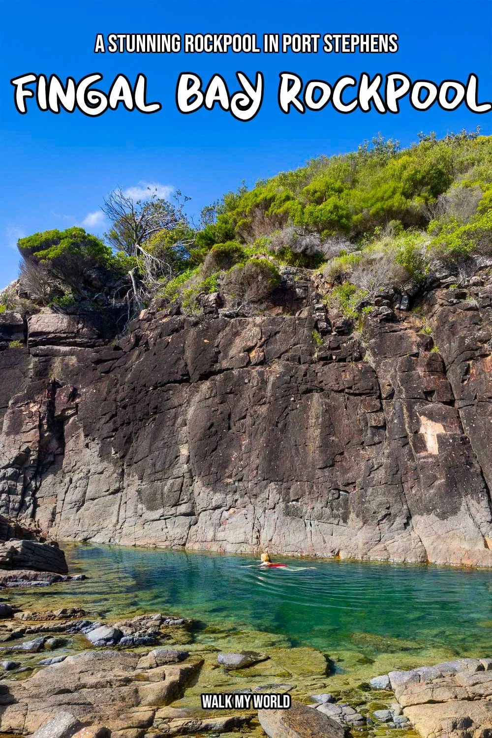 Hiding in plain sight - the beautiful Fingal Bay Rockpool — Walk My World