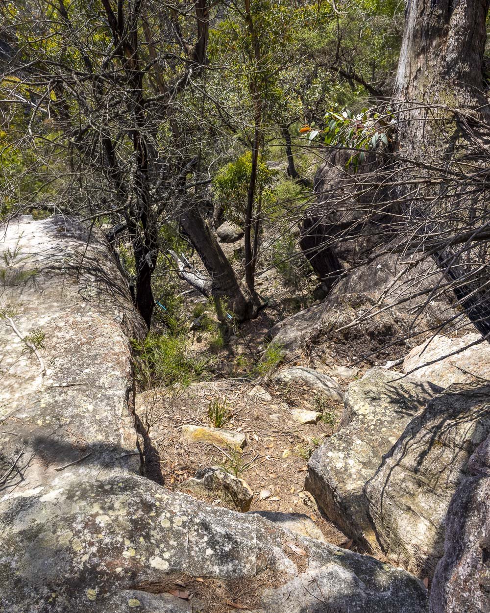 Yerrinbool Falls: a beautiful secluded waterfall in the Southern ...
