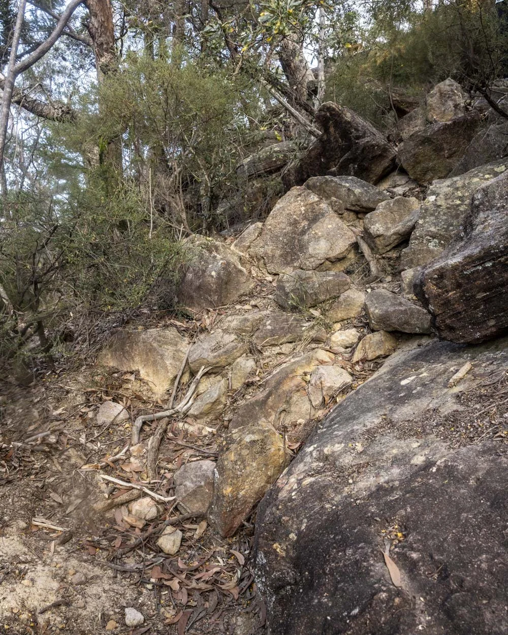 How to find the jungly ruins of the old Faulconbridge Timber Mill ...