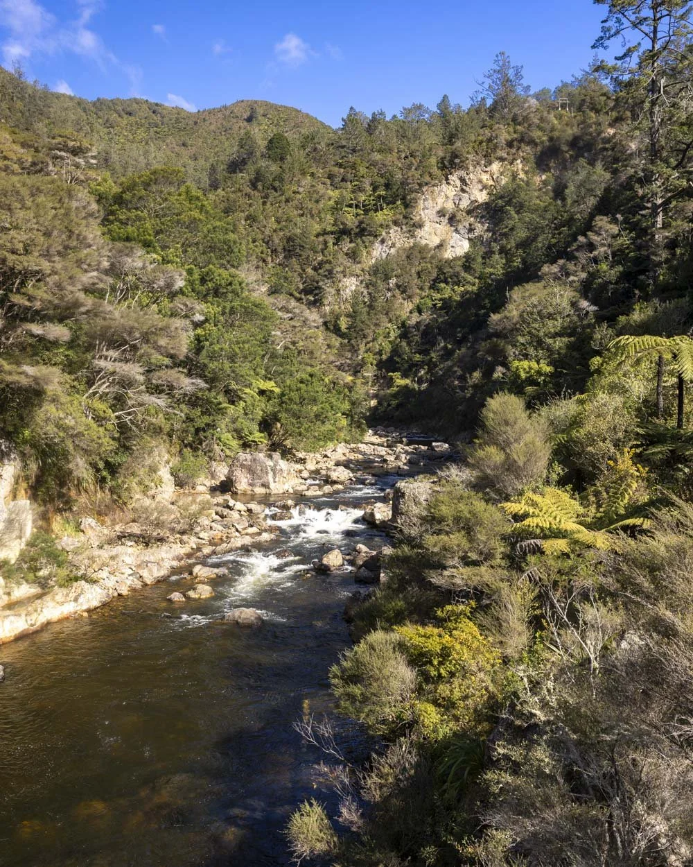Karangahake Gorge Historic Walkway: the best bits and what to skip ...