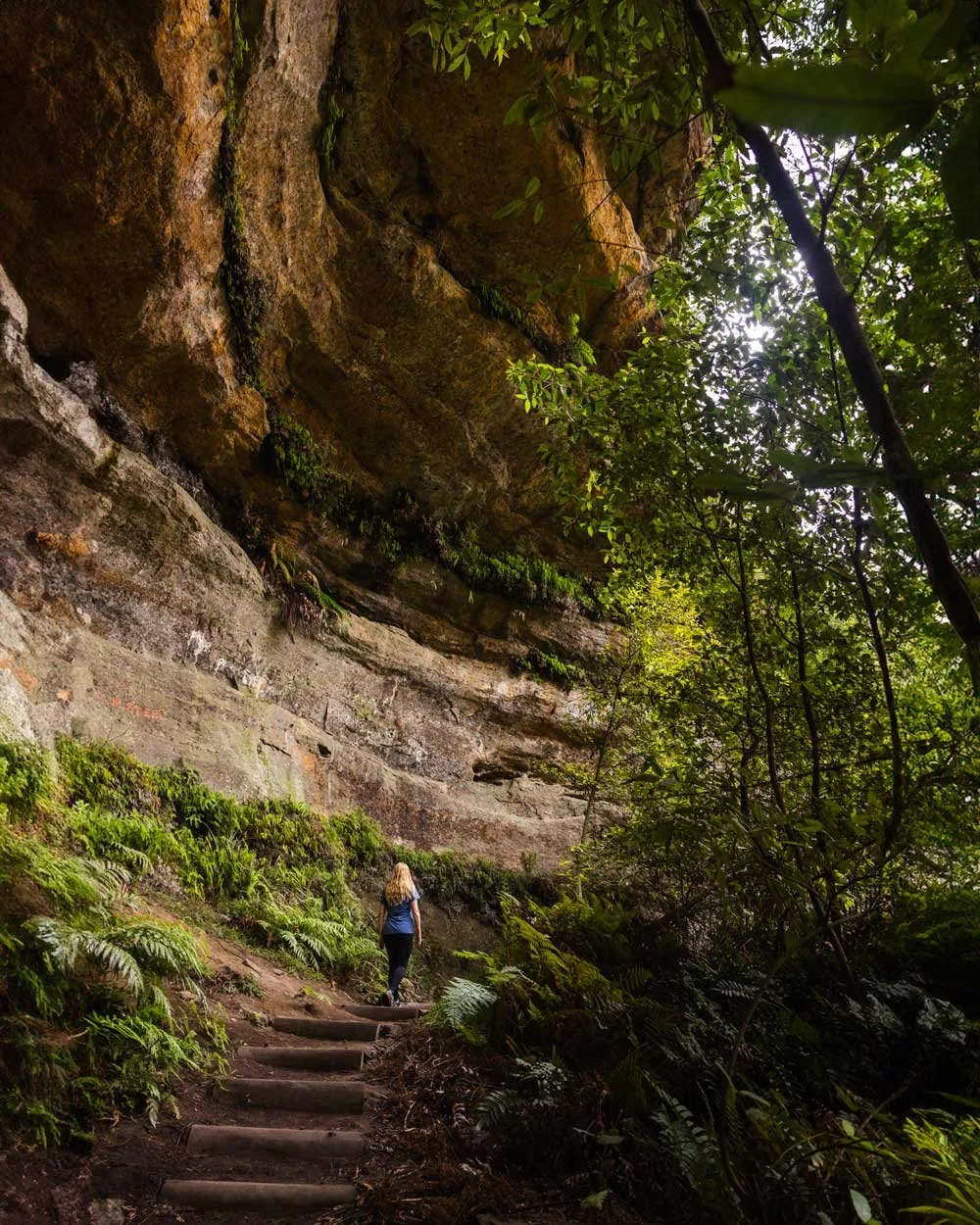 Walls Cave: an easy cave and canyon walk in Blackheath — Walk My World