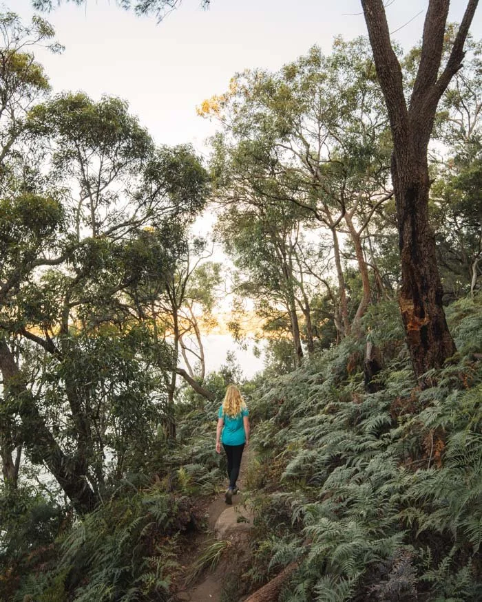 17 Stunning Coastal Walks in Sydney for Incredible Views — Walk My World